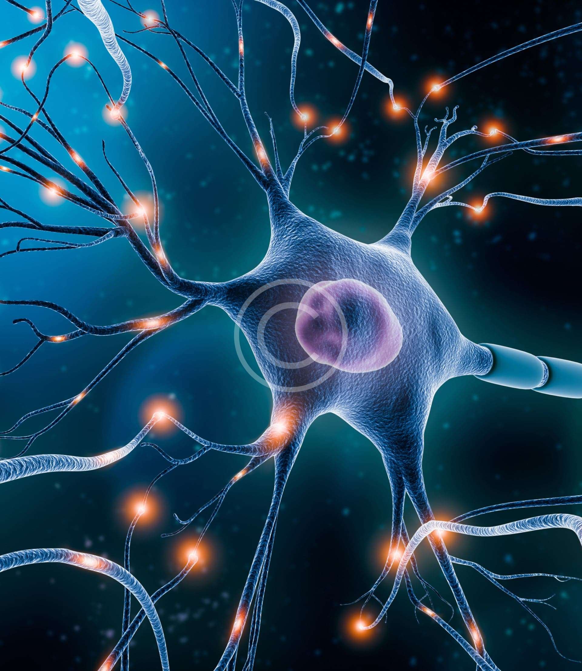 Neurology – Sonora Shockwave